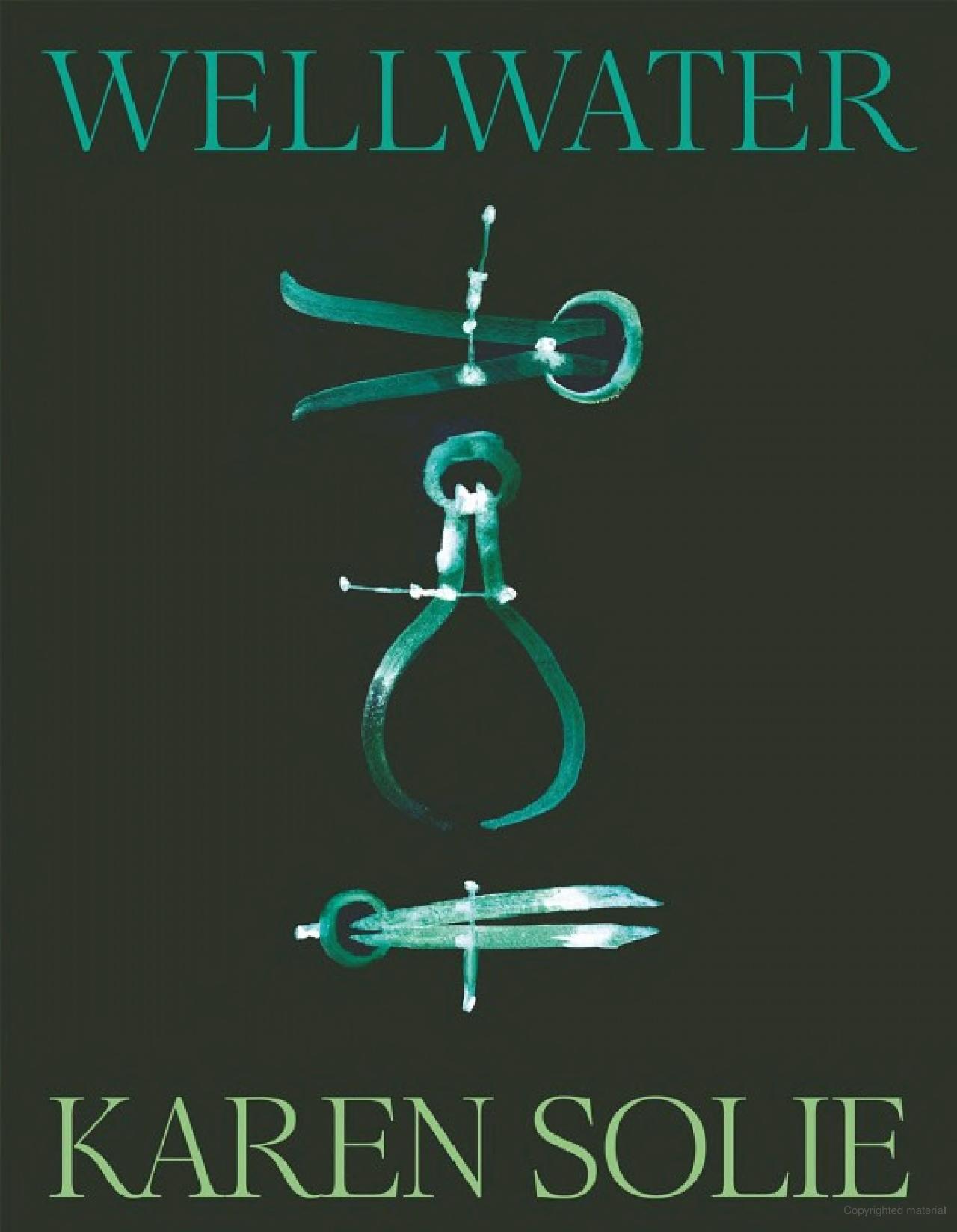 Echolocations: Reflections on Poems by A.E Stallings (Issue 5 ...